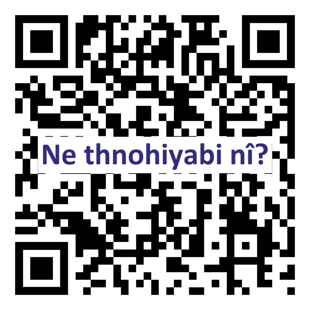 QR codes for the Guide to Wise Use - Do Bugs Need Drugs