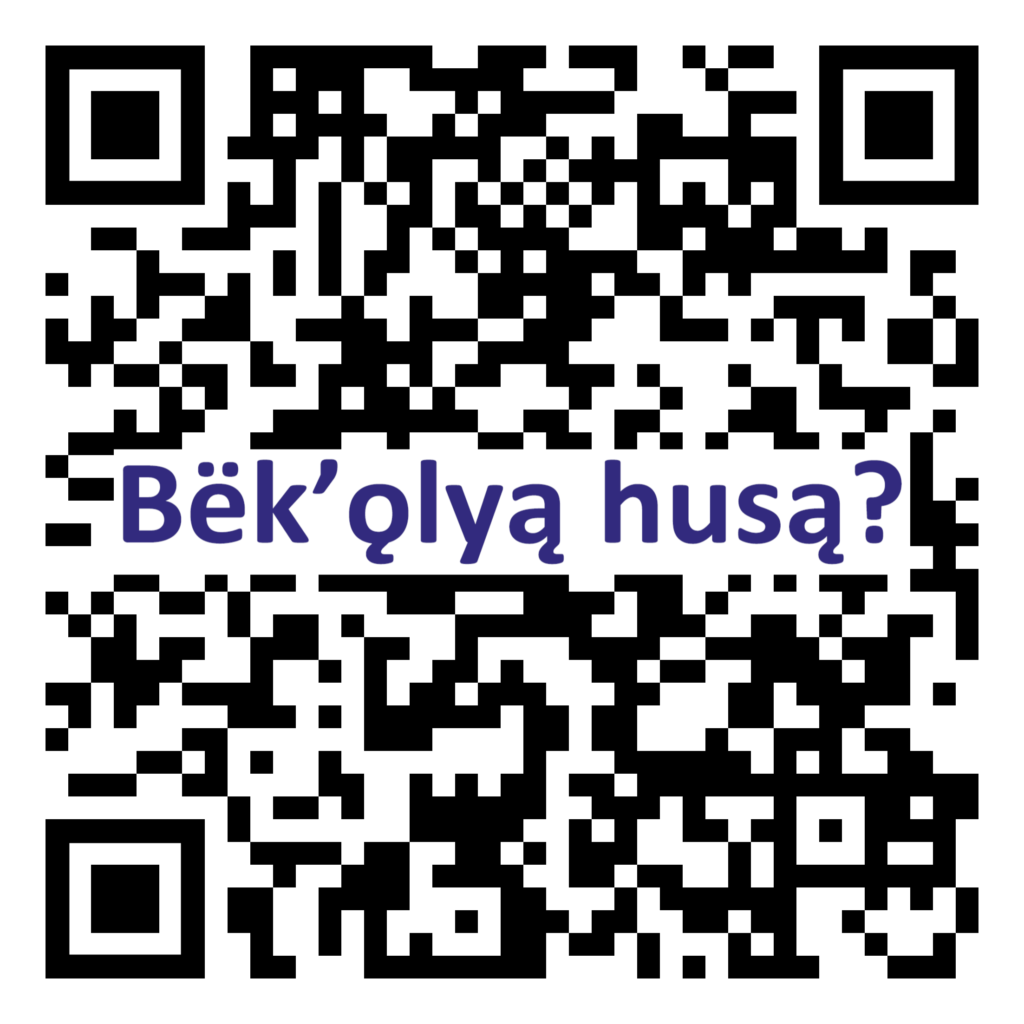 QR codes for the Guide to Wise Use - Do Bugs Need Drugs